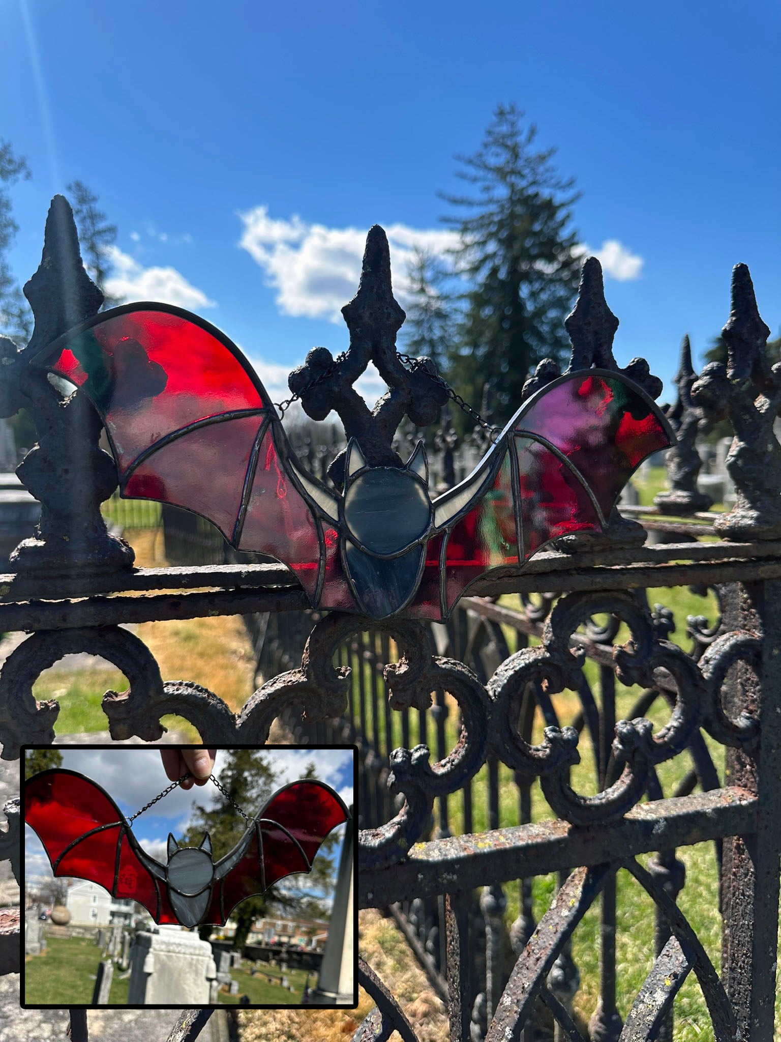 Fidget the Bat – Impossible Curiosities