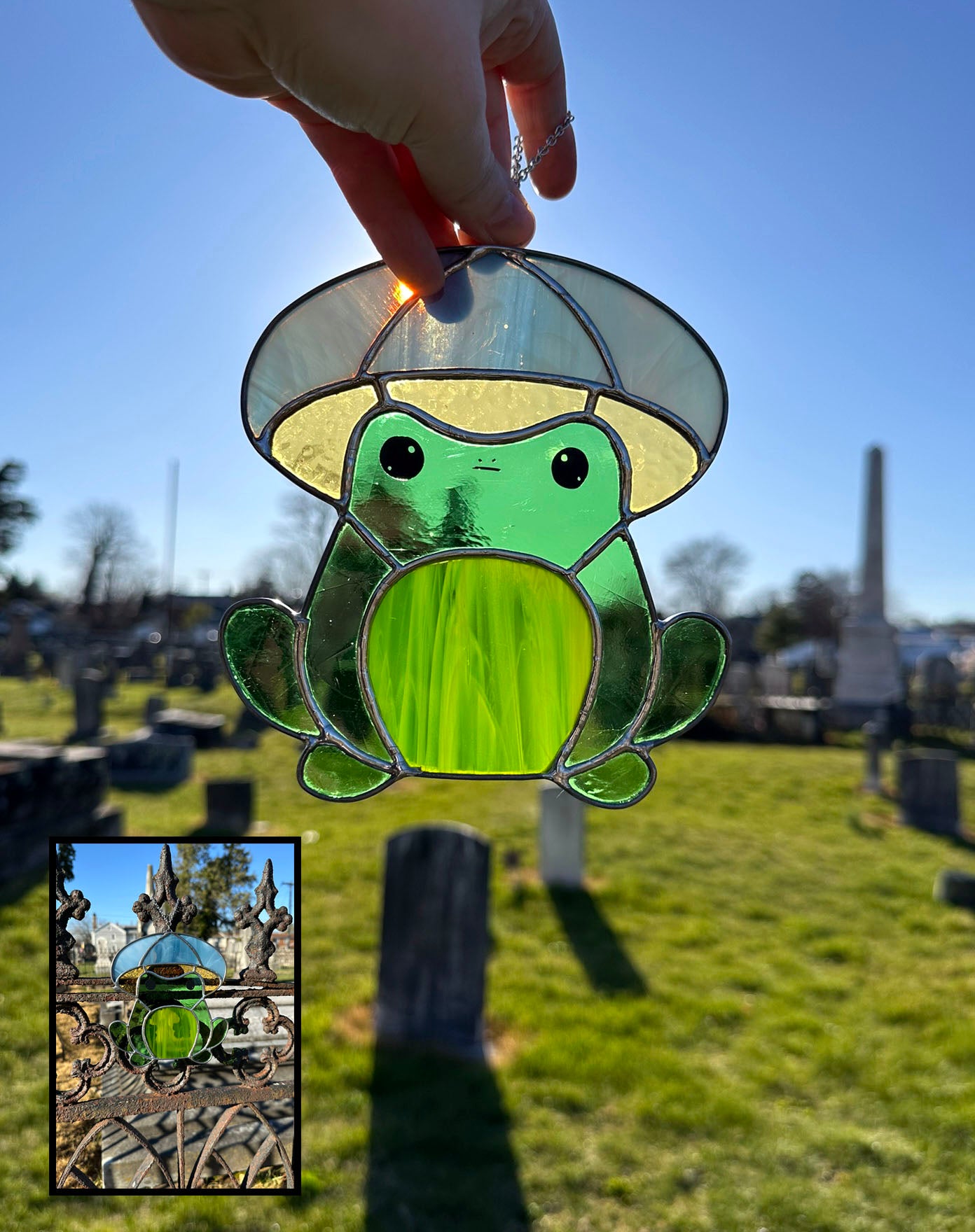 Hermit the Frog – Impossible Curiosities