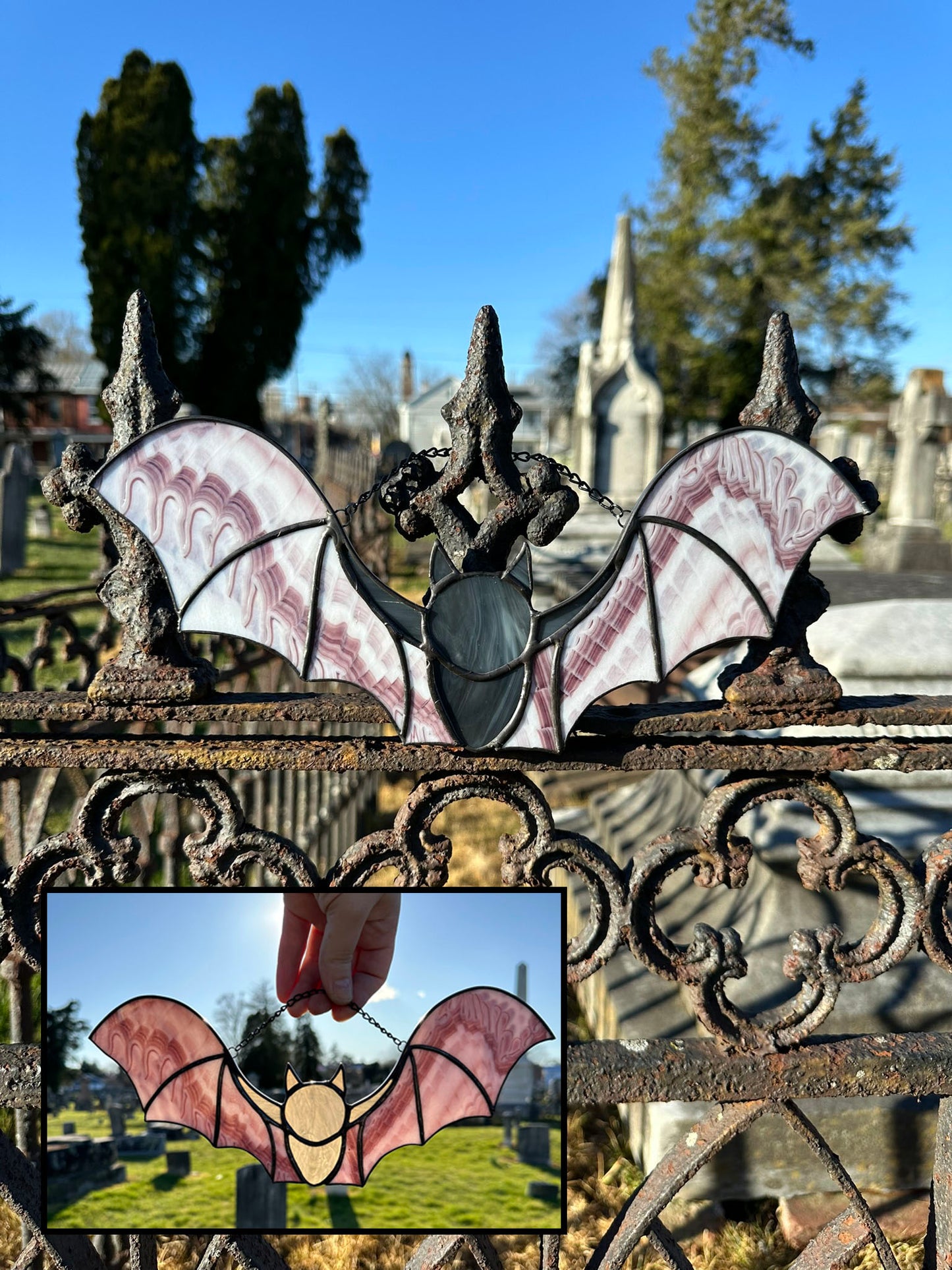 Fidget the Bat – Impossible Curiosities