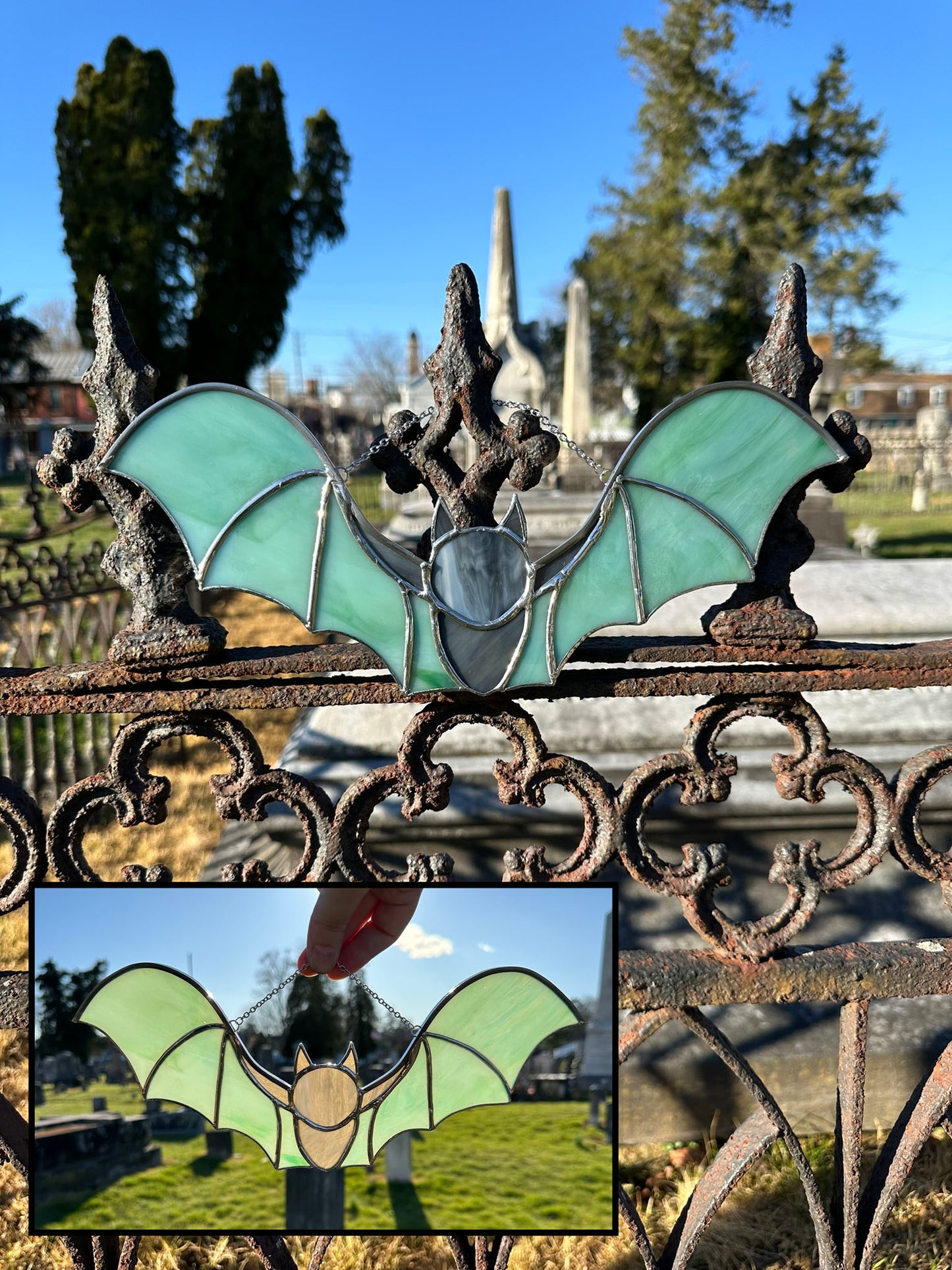 Fidget the Bat – Impossible Curiosities