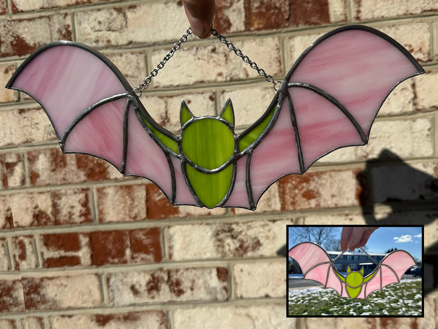 Fidget the Bat – Impossible Curiosities